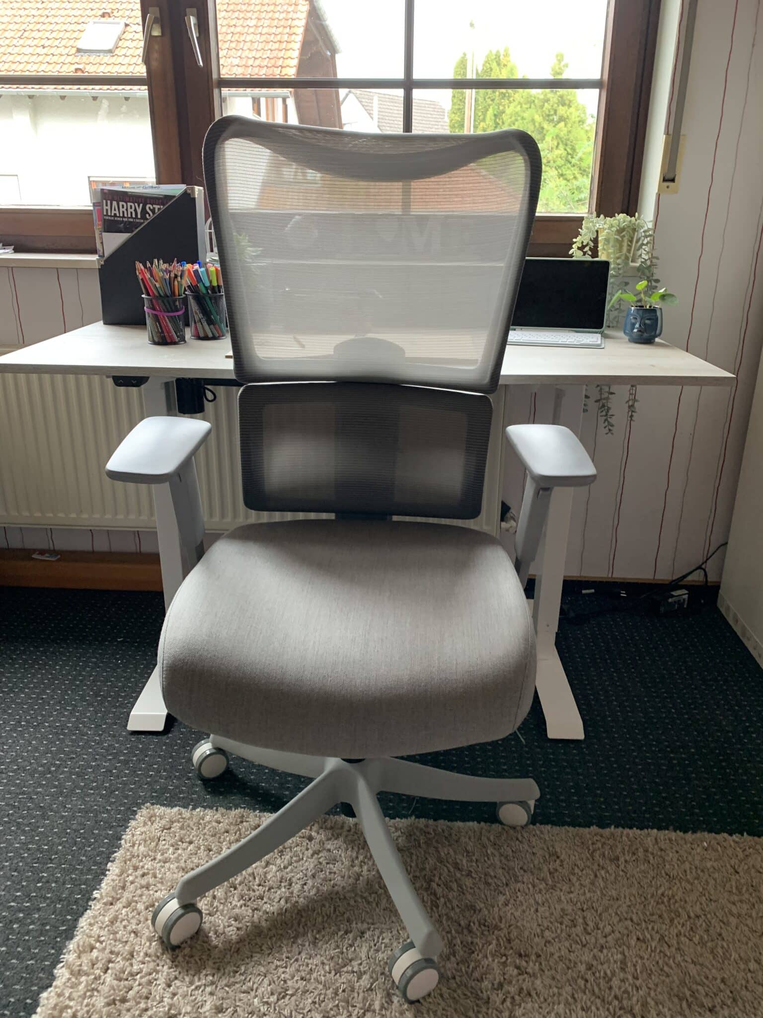 Flexispot BS8 Pro Bürostuhl mit Rückenunterstützung im Test - techfacts.de